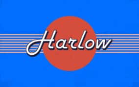 The Best 70s Fonts On Canva For Retro Designs