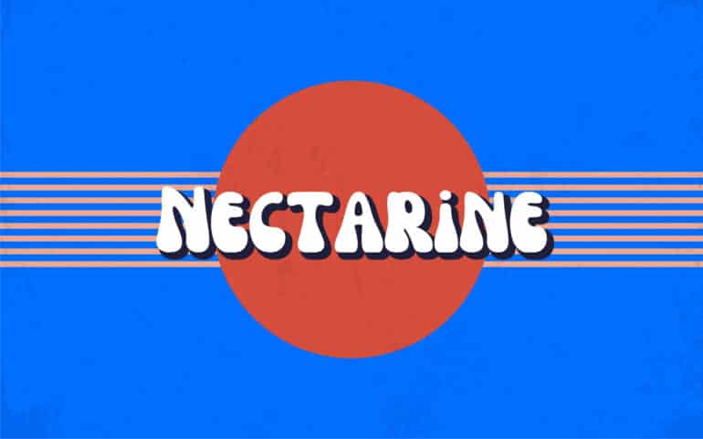 The Best 70s Fonts On Canva For Retro Designs