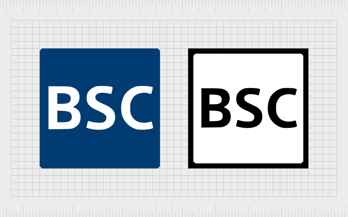 Boston Scientific Logo History, Meaning And Evolution