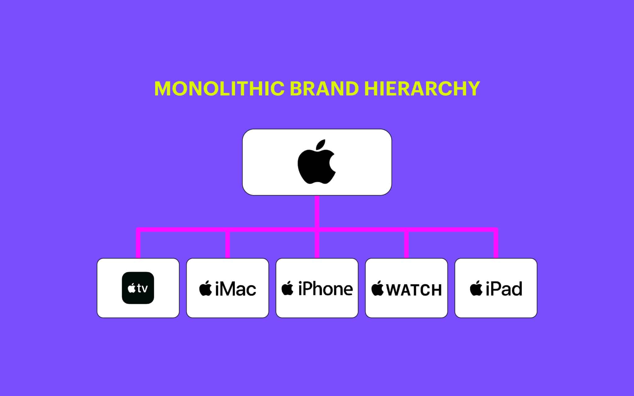 Brand Hierarchy Examples: What It Is, Why It Matters