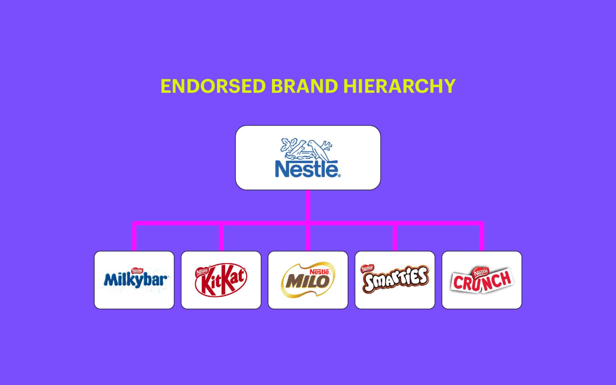 Brand Hierarchy Examples: What It Is, Why It Matters