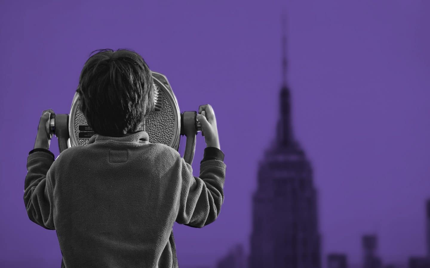 Searching for Success: How to Write a Brand Vision Statement