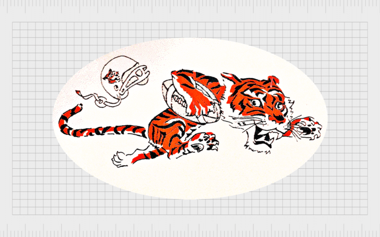 Cincinnati Bengals Logo History: Story Of The Bengals Tiger Logo