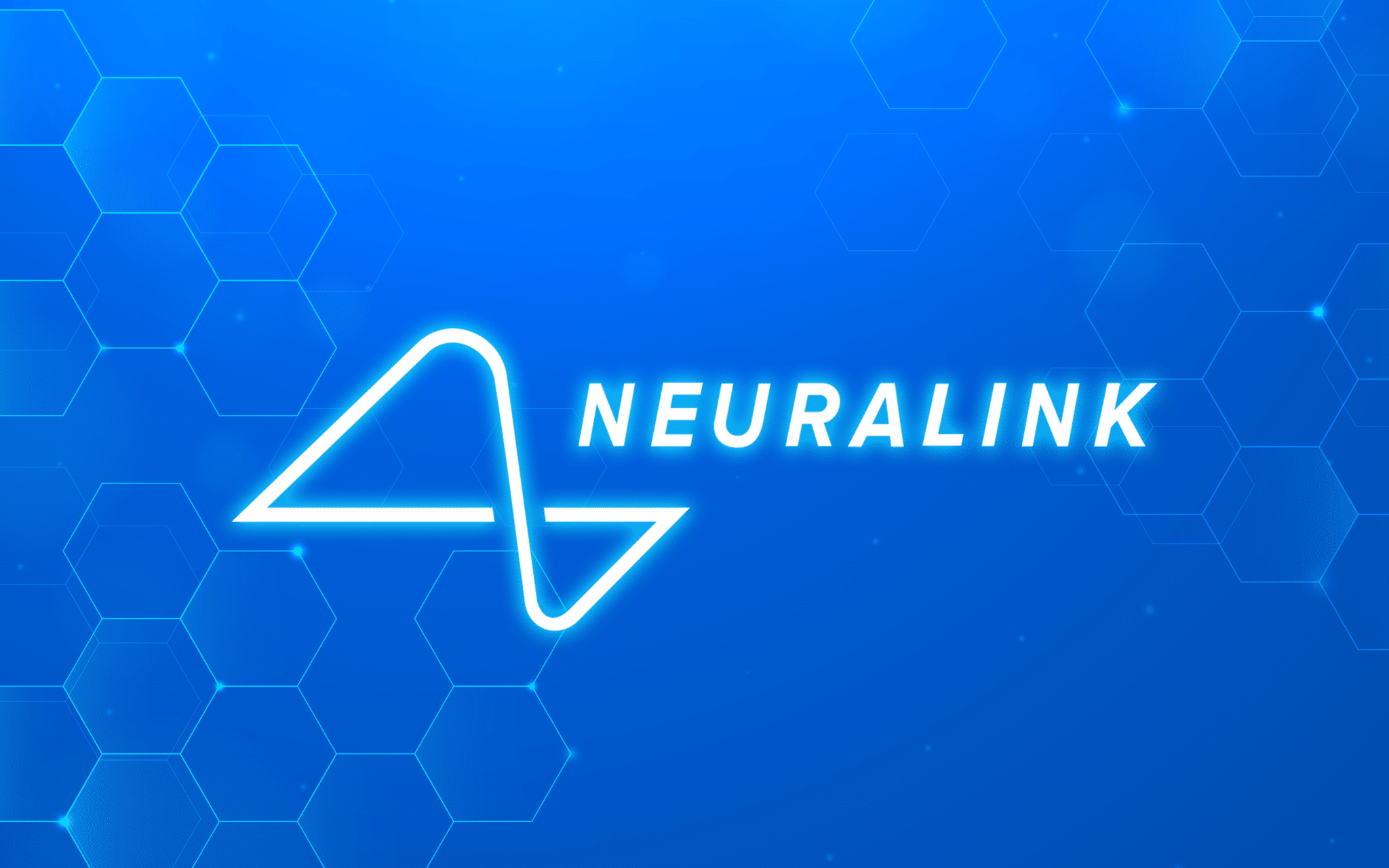 The Complete List Of Companies Owned By Elon Musk