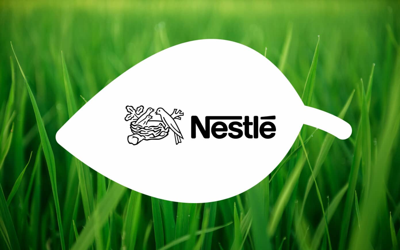 Guide to CSR: With Great Branding Comes Great Corporate Social ...