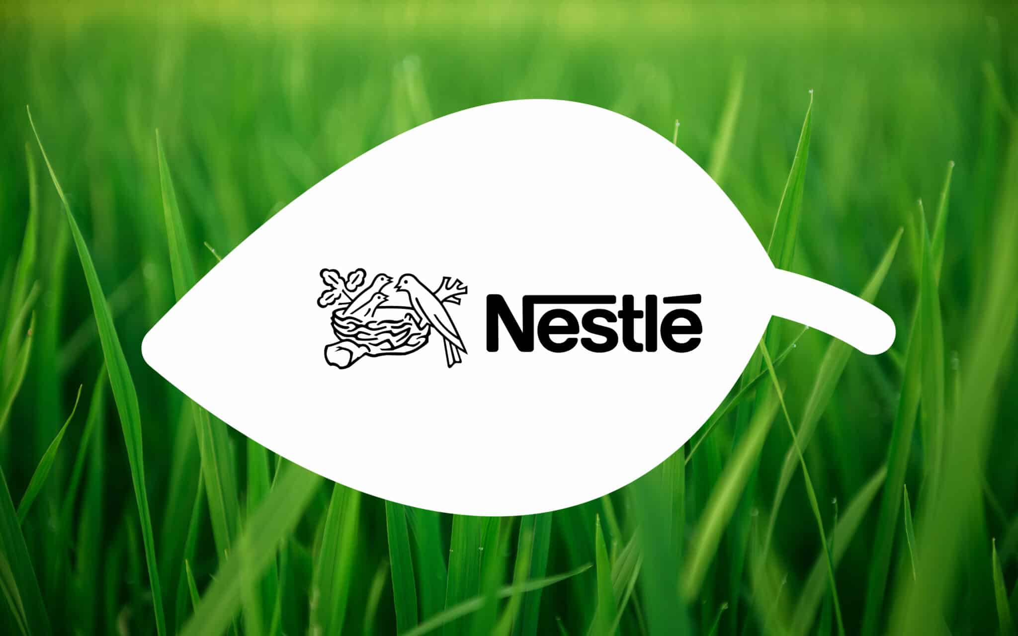 Guide to CSR: With Great Branding Comes Great Corporate Social ...