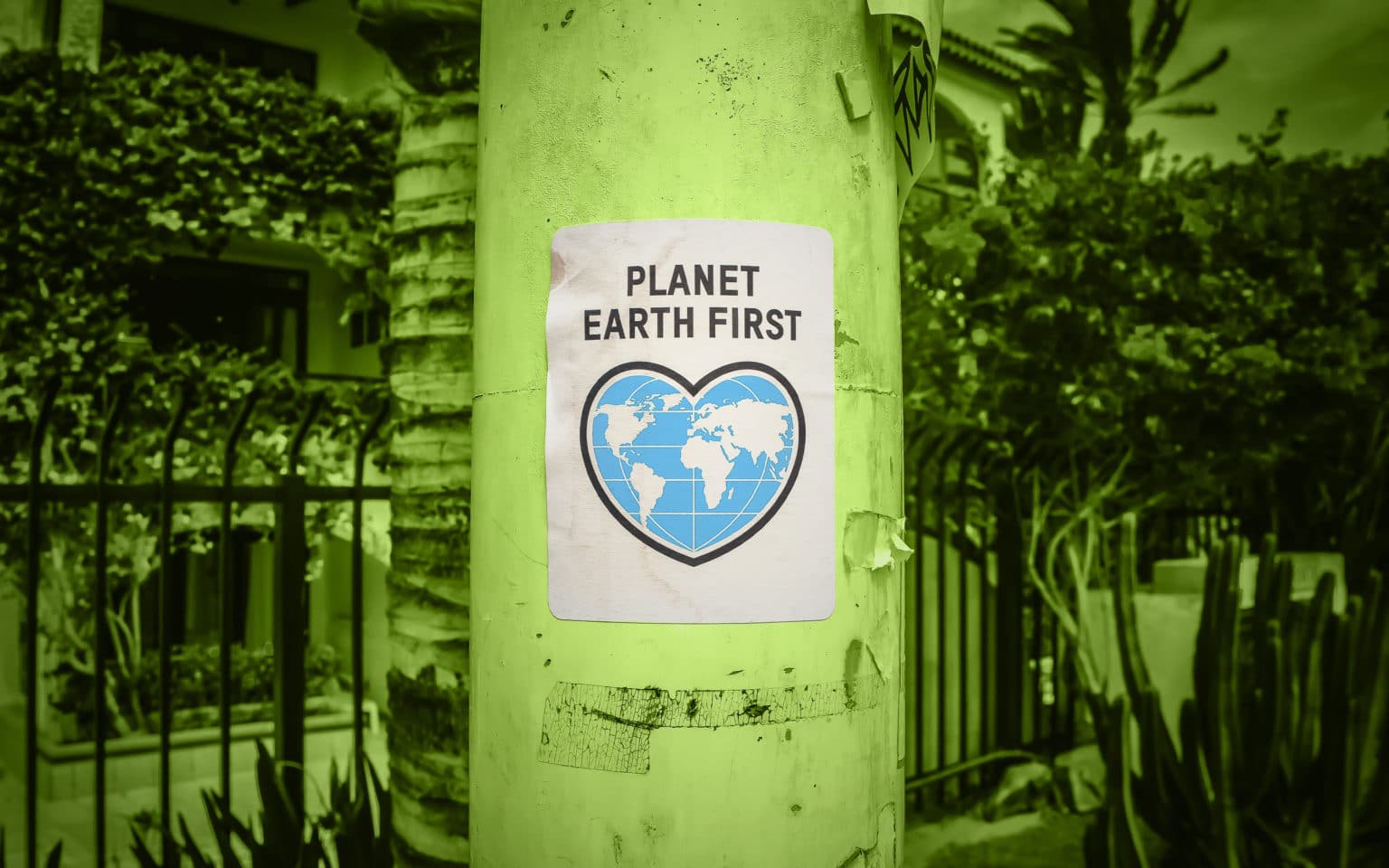 Green Brands: Eco Friendly Companies To Learn From