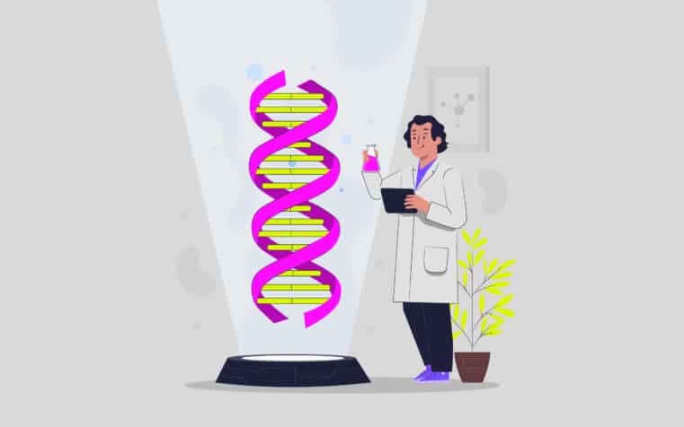 How To Define And Build Brand DNA: 9 Practical Steps