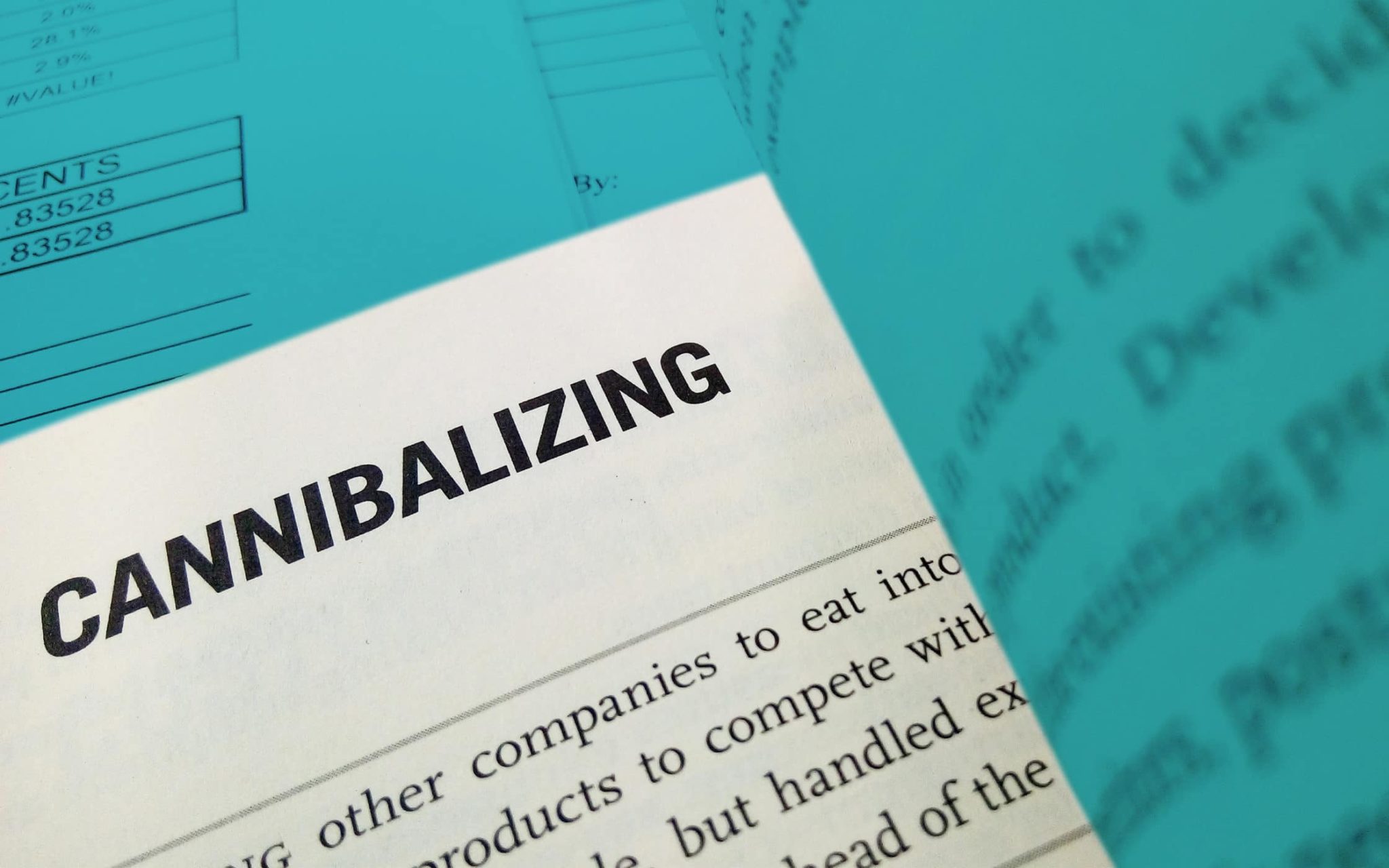 How To Boost SEO By Avoiding Keyword Cannibalization