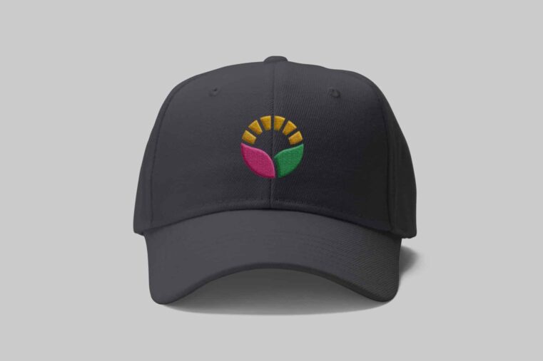 The Capital One Logo History, Meaning And Evolution