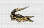 Lacoste Logo History, Crocodile, Meaning And Evolution