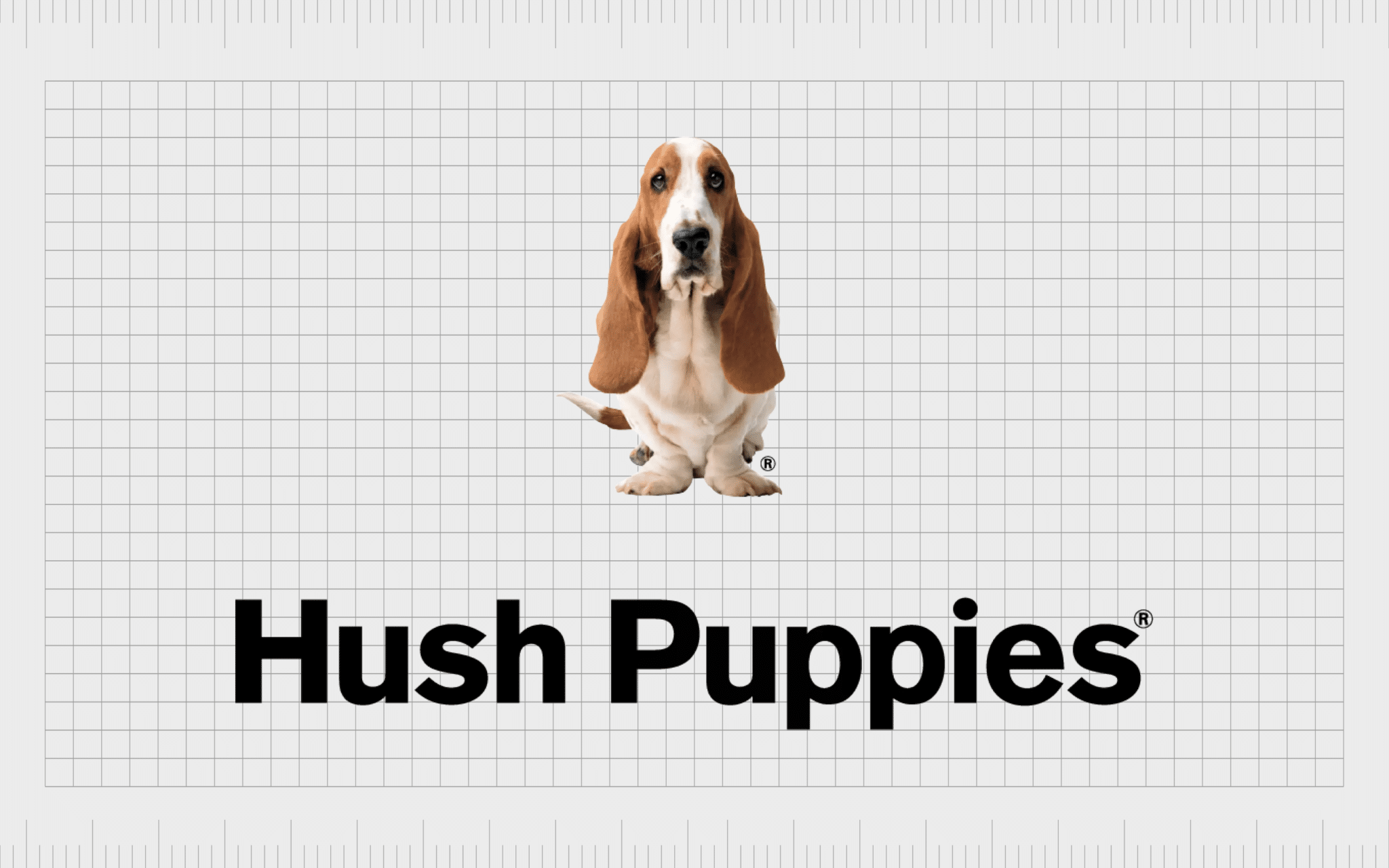 The Complete Guide To Popular Shoe Brand Logos And Names