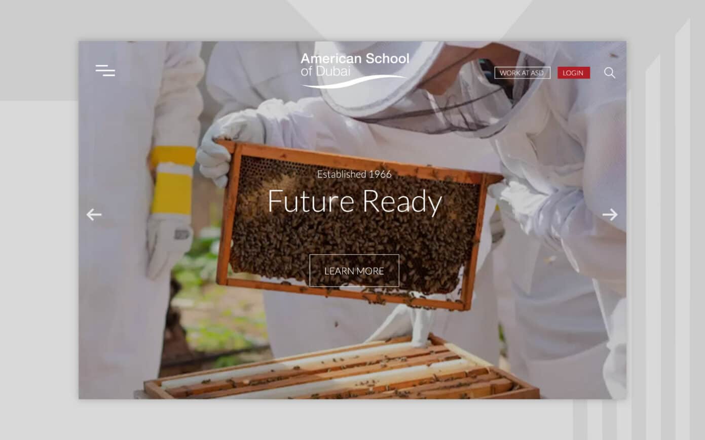 The Best School Branding Examples: Ideas With Impact