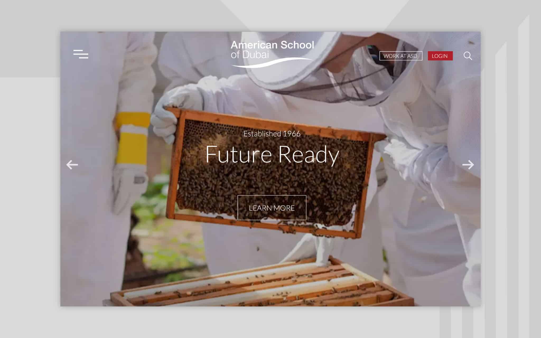 The Best School Branding Examples: Ideas With Impact