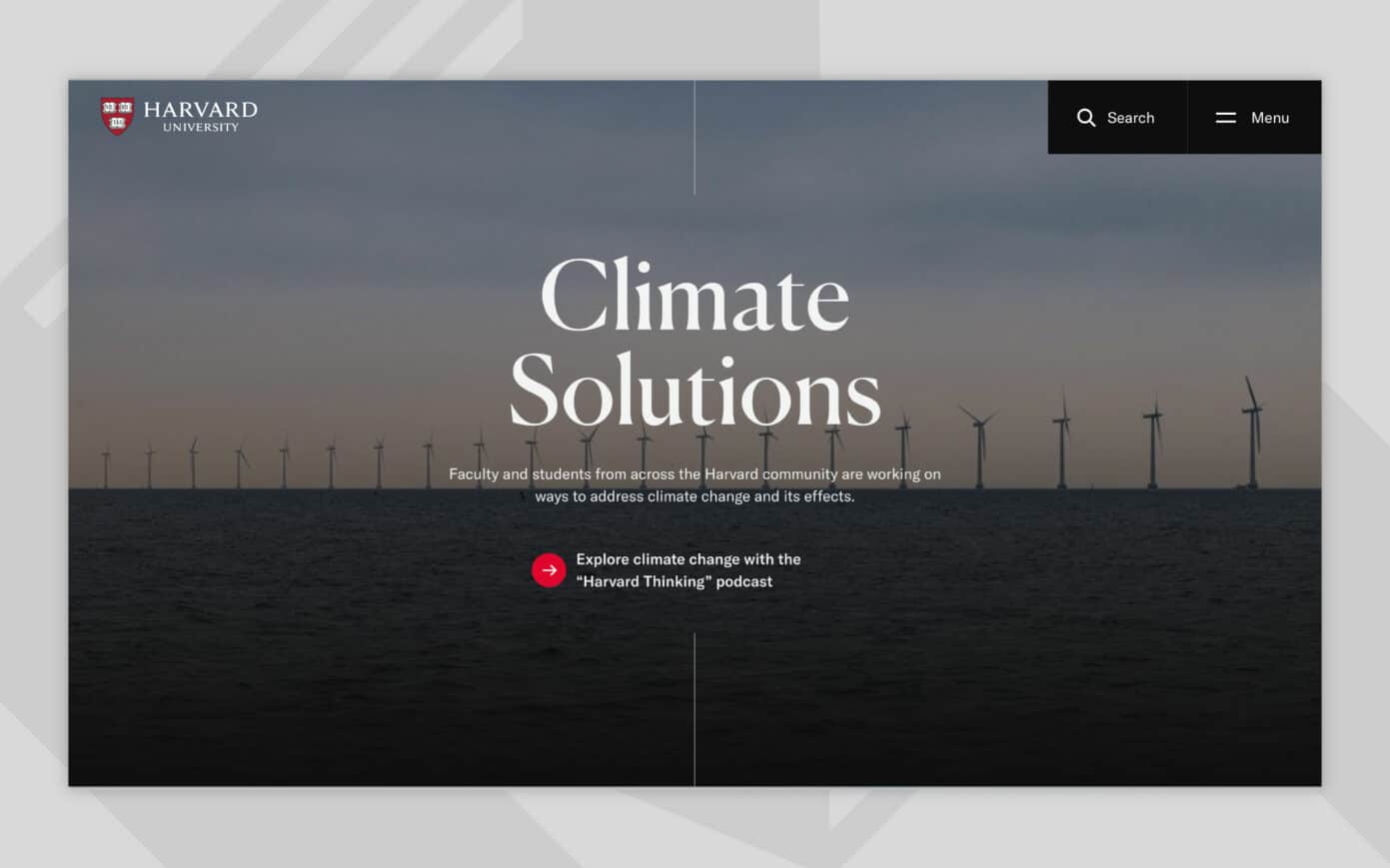 The Best School Branding Examples: Ideas With Impact