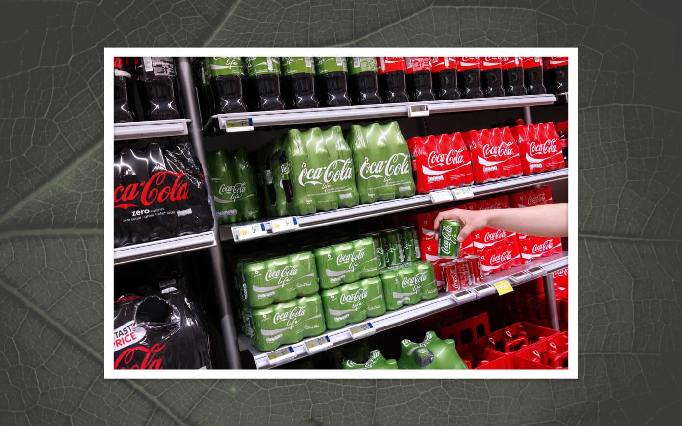 The Eco Has Landed: Guide To Sustainable Brands & Green Branding