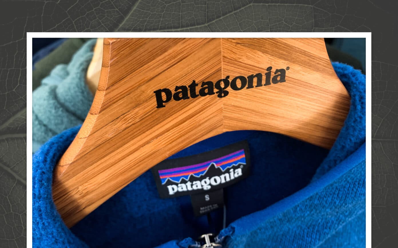 The Eco Has Landed: Guide To Sustainable Brands & Green Branding