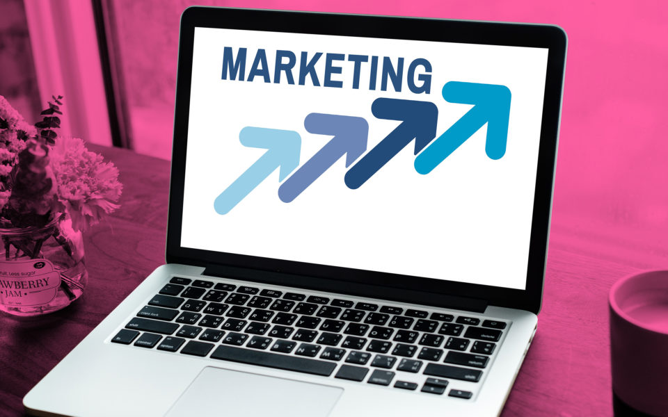 What Is A Vertical Marketing System? The Basics Of Vertical Marketing