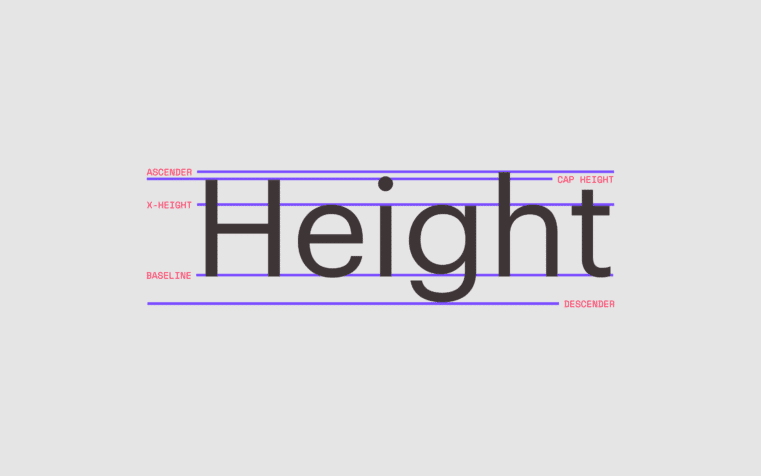 What Is X Height In Typography? The Complete X Height Definition